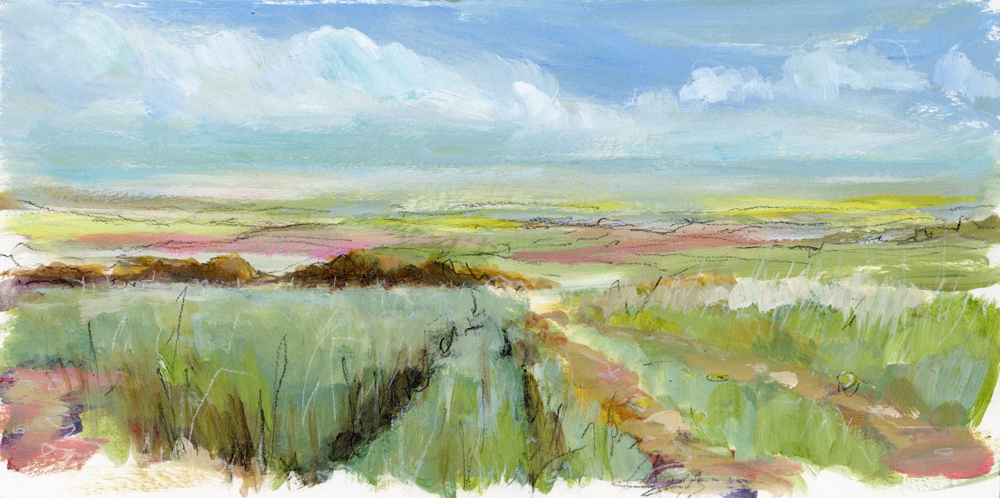 Kate Pettitt – Artist and designer