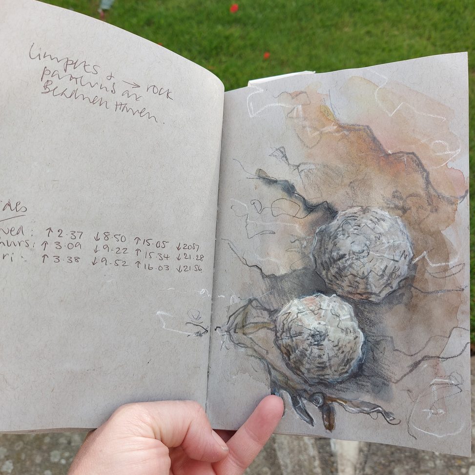 Places – Kate Pettitt