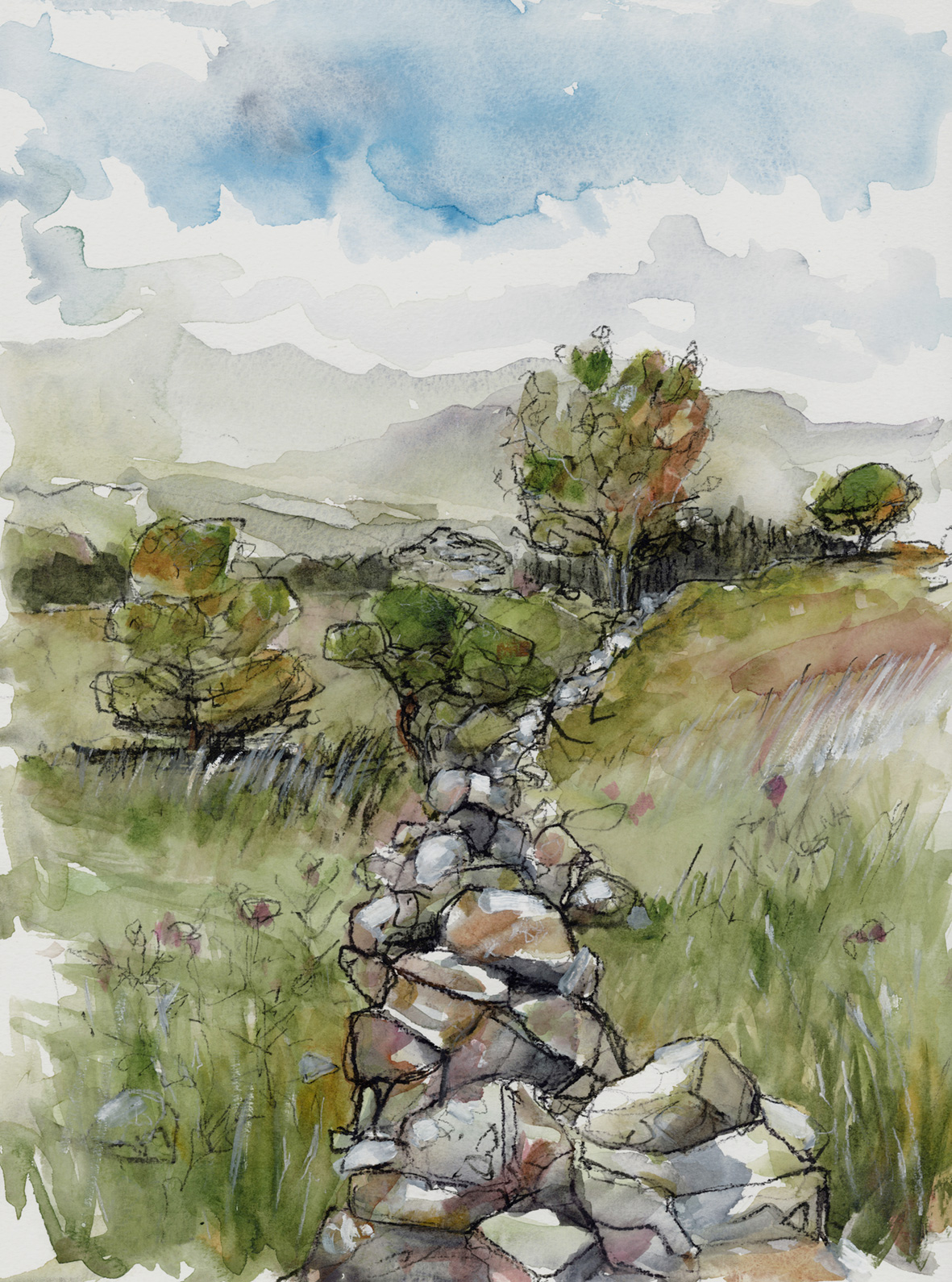 The Dry Stone Wall / Y Wal Gerrig Sych – Kate Pettitt