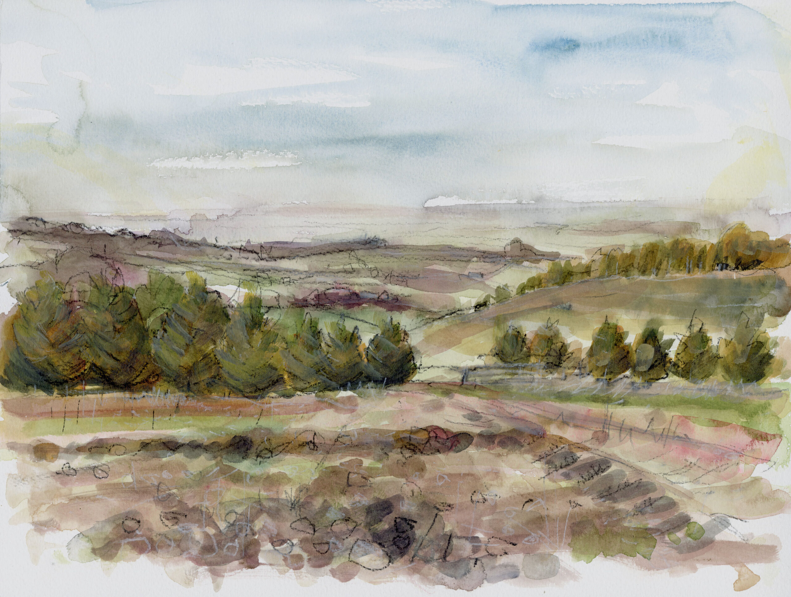 Kate Pettitt – Artist and designer